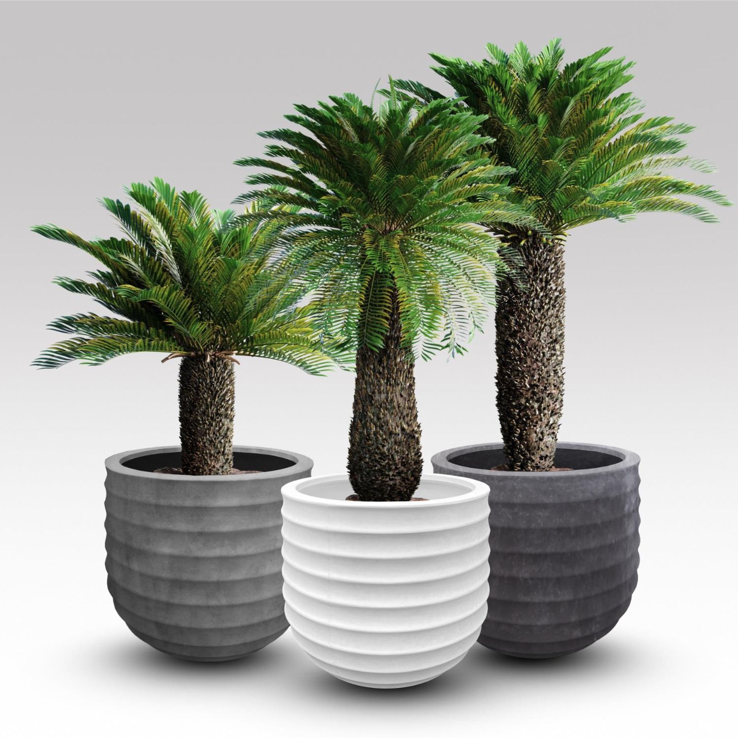 Luxury Coastal Sofas in Italian Design | Melaaura